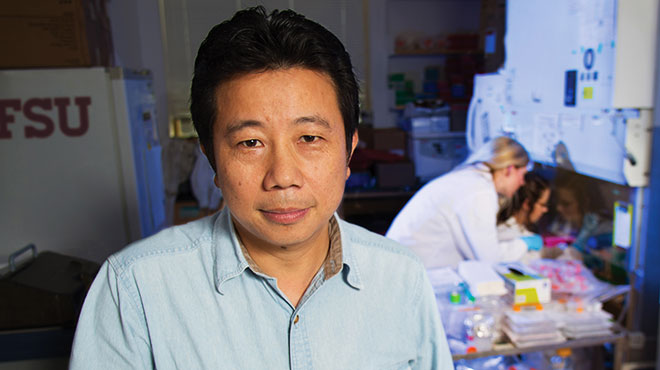 Descubren sustancias capaces de bloquear la multiplicación del zika