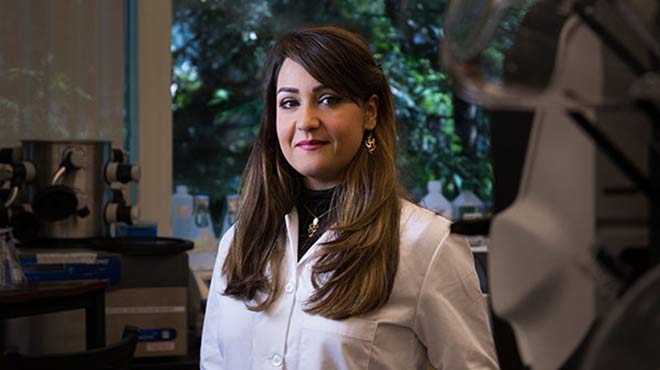 Desarrollan gel quirúrgico que sella heridas críticas en 60 segundos