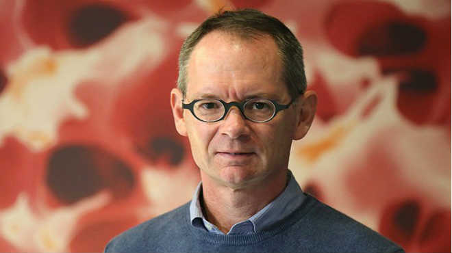 Técnica de nanopartículas doradas podría ser más rápida para detectar ...