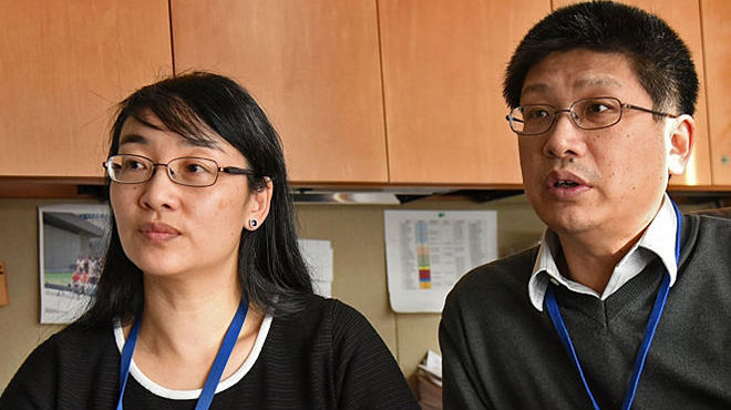 Mini cerebros confirman que zika causa daño cerebral