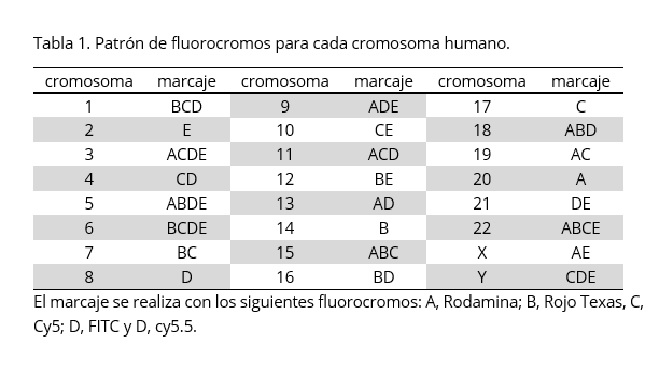 Implementación de la técnica de pintar los cromosomas en Ecuador